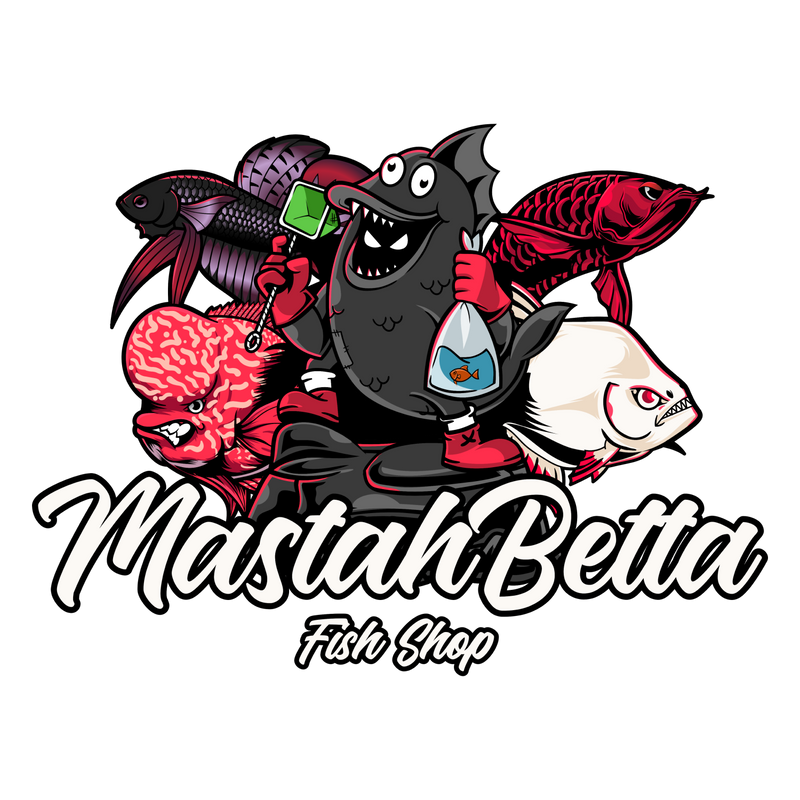 Bettas — Mastah Betta