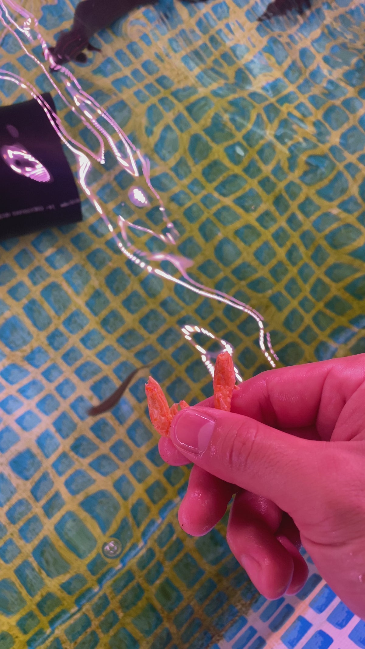 Red Fire Eel — Mastah Betta